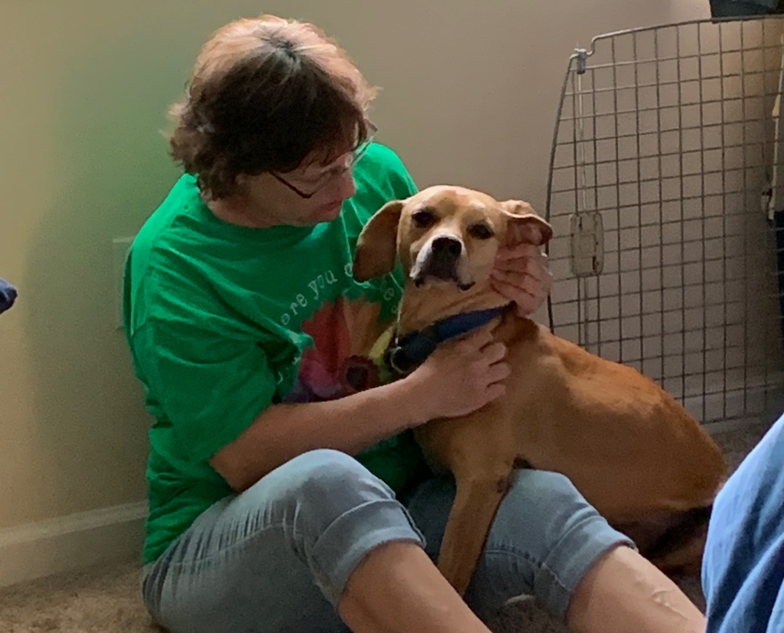 About Holiness, God, and Trusting My Dog | SRQ Jew