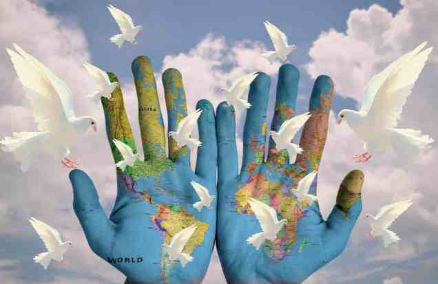 Finding Peace in a World Without Peace | SRQ Jew
